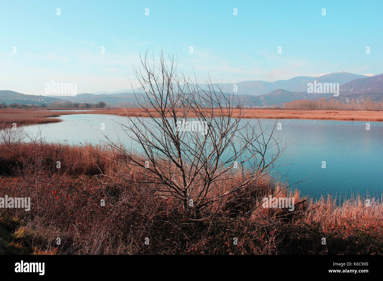 A tree next to the lake of Agra Edessa Greece Europe Stock Photo - Alamy
