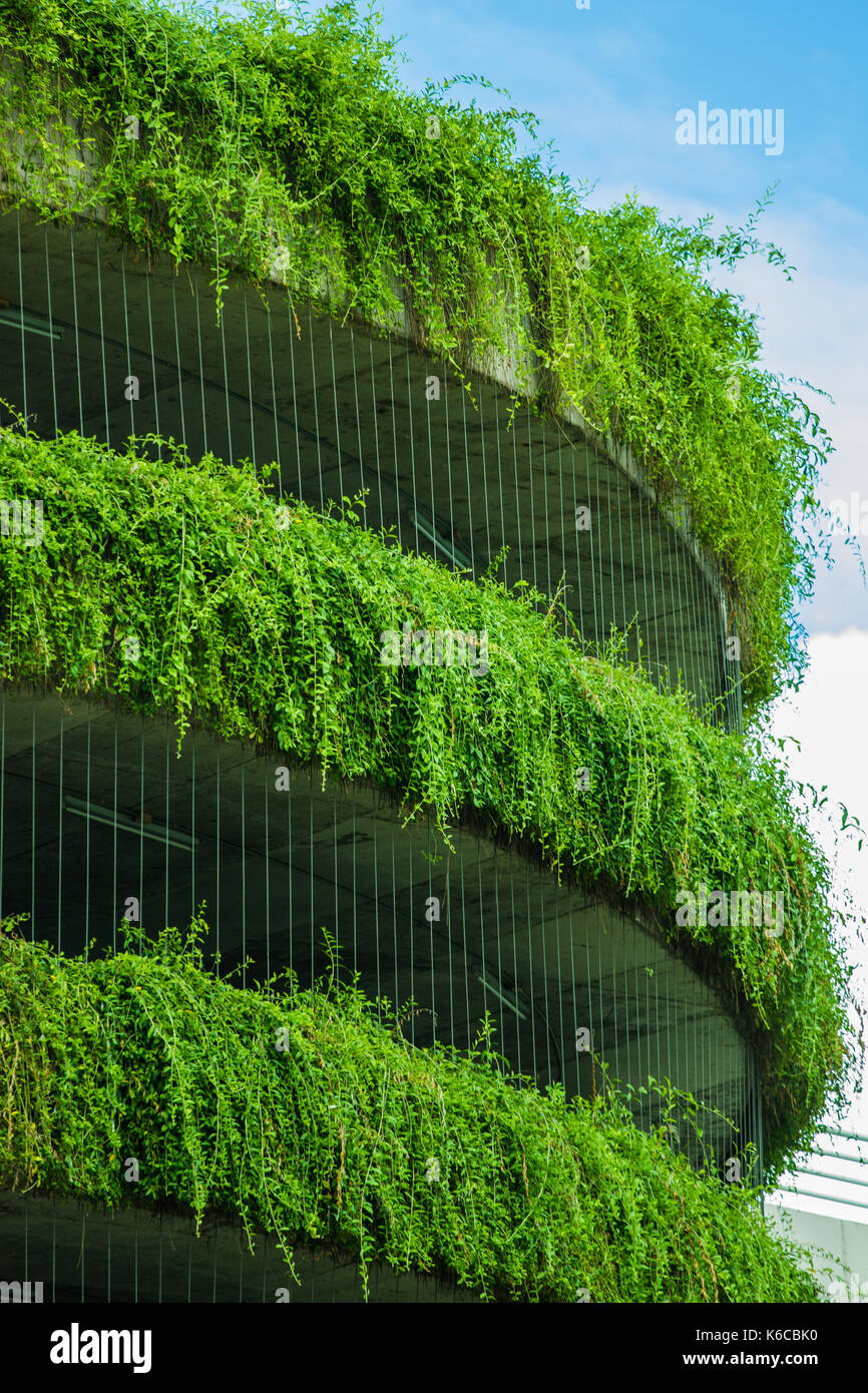 building covered with vegetation Stock Photo - Alamy