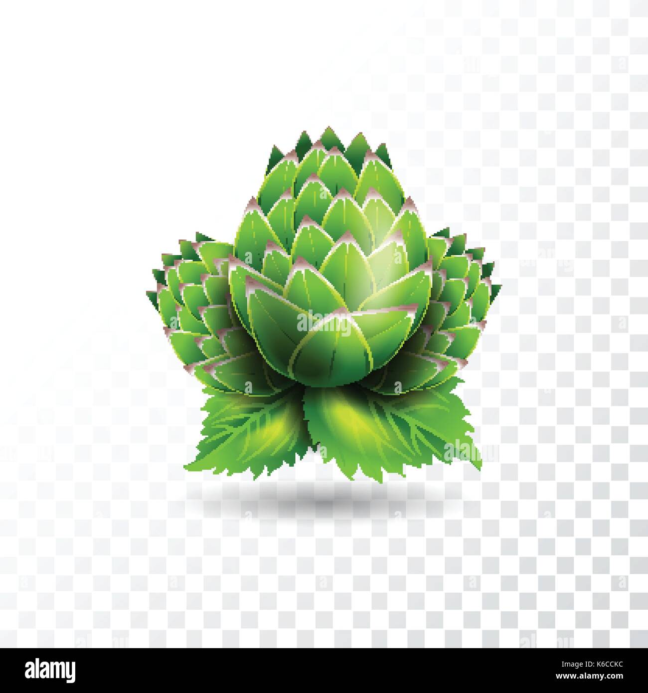 Isolated vector hop illustration on transparent background Stock Vector ...