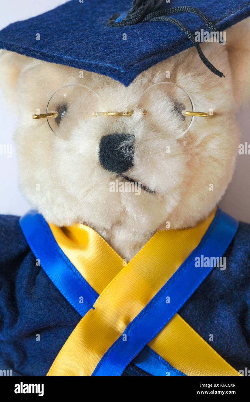Soft cuddly teddy bear wearing mortarboard, robe, ribbons and glasses ...
