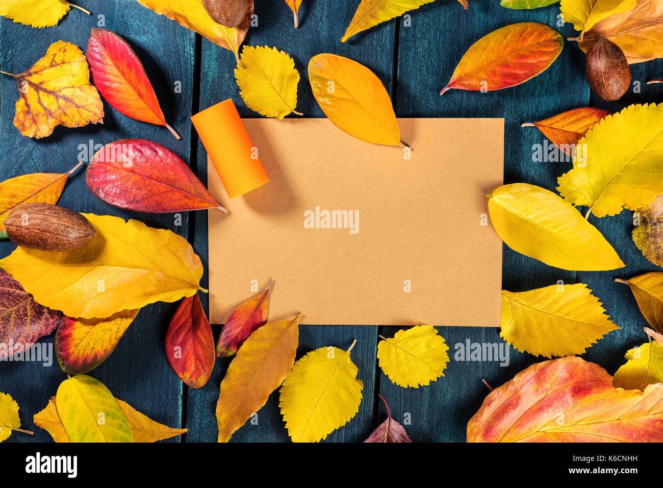 A vibrant orange cork, shot from above with autumn leaves and brown ...