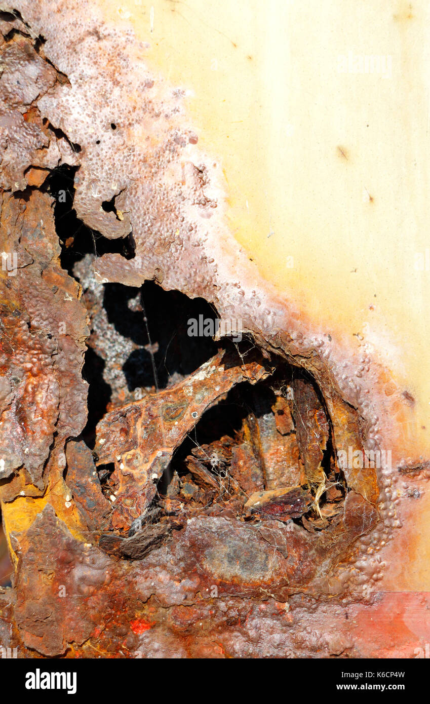 Blistering paint hi-res stock photography and images - Alamy