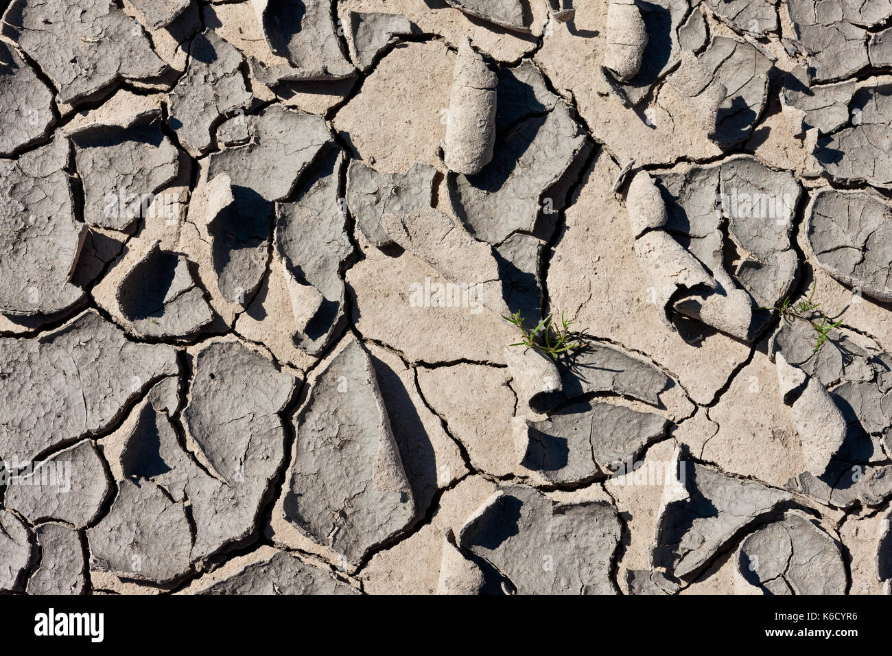 Narf 0106 hi-res stock photography and images - Alamy