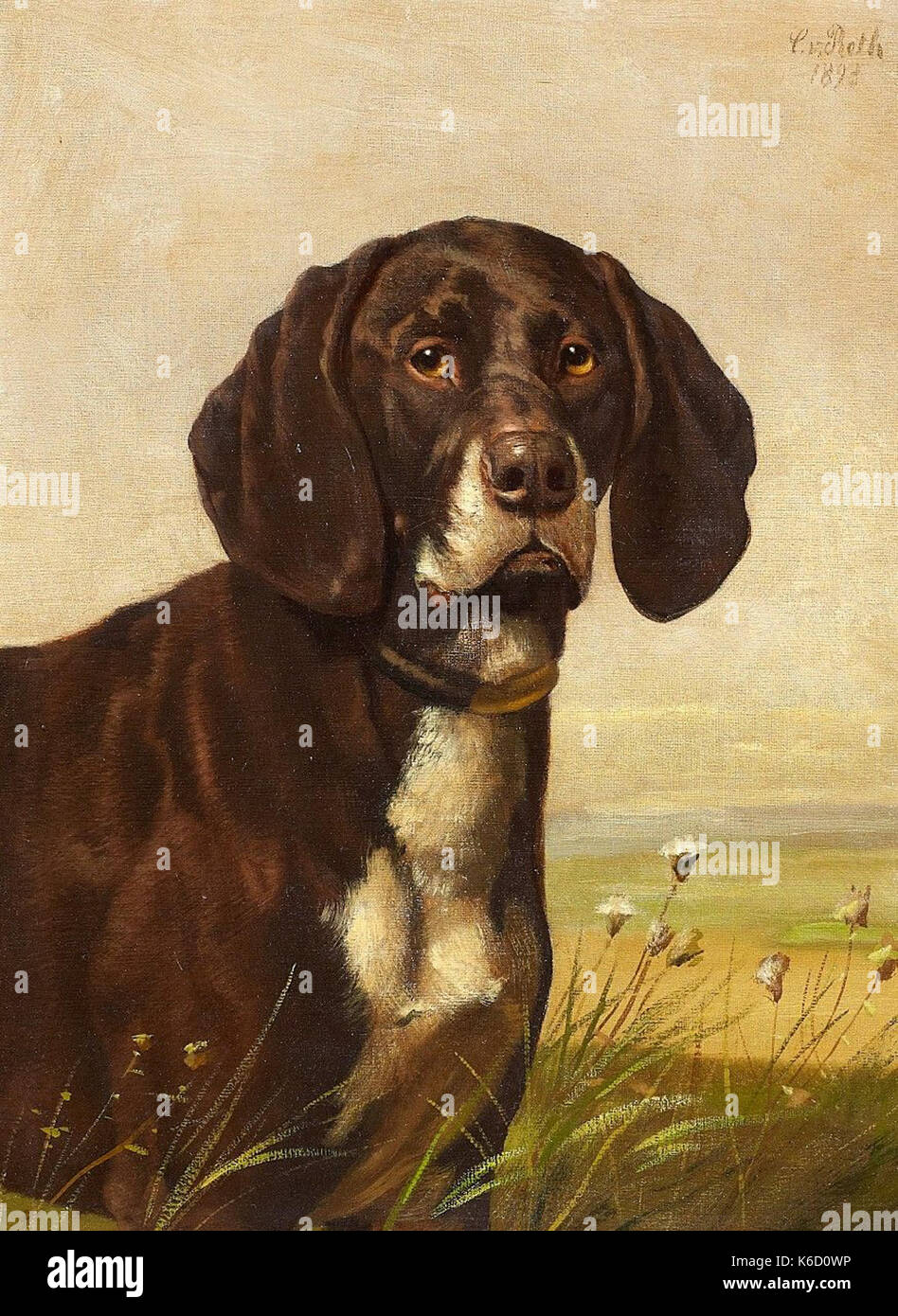 Caspar von Reth Hundeportrait 1893 Stock Photo - Alamy