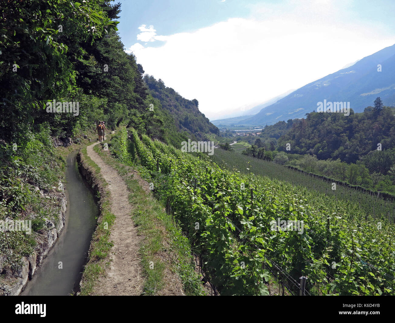 Latschander waalweg hi-res stock photography and images - Alamy