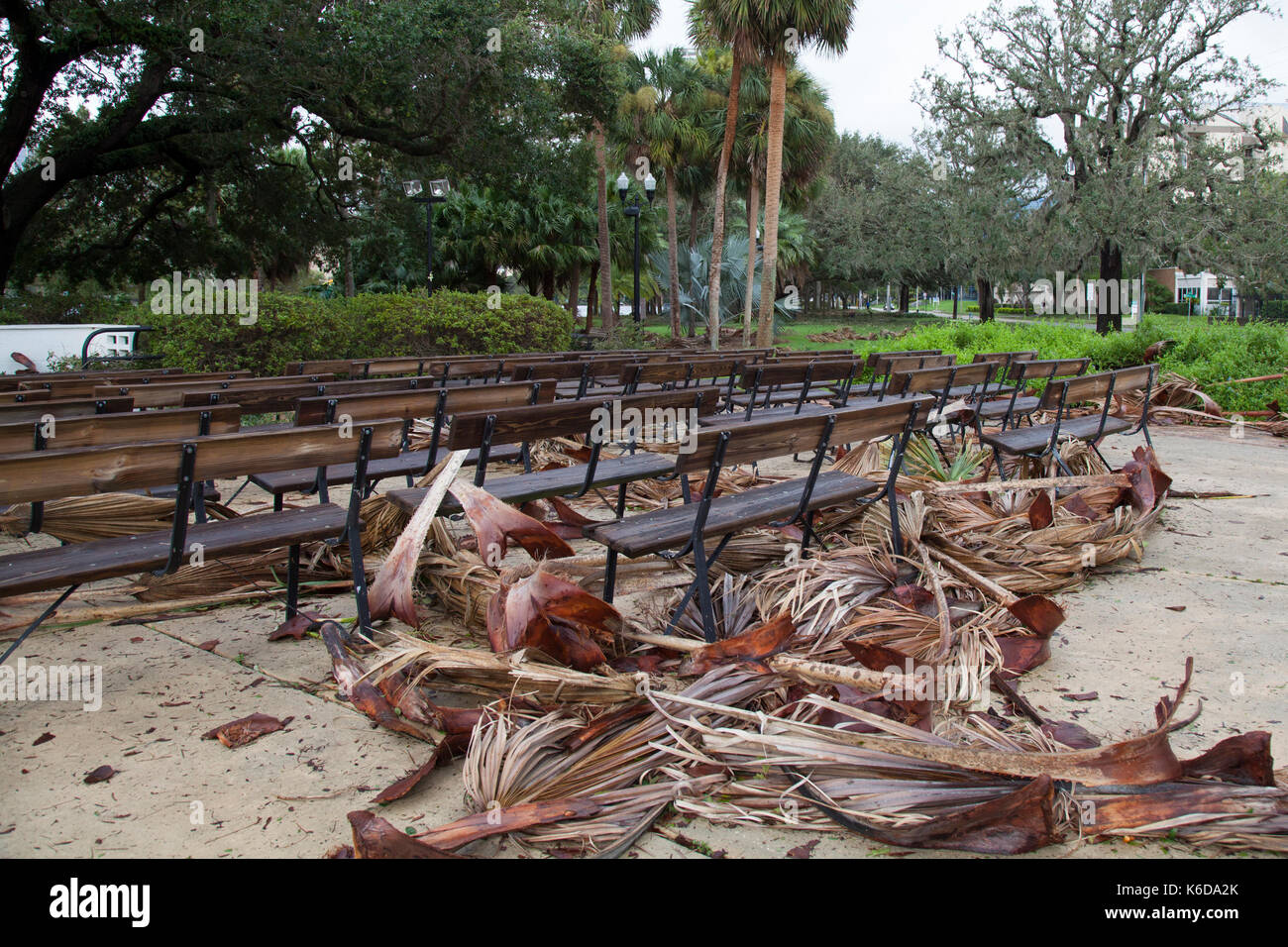 Orlando, USA. 11th Sep, 2017. Hurricane Irma damage in historic ...