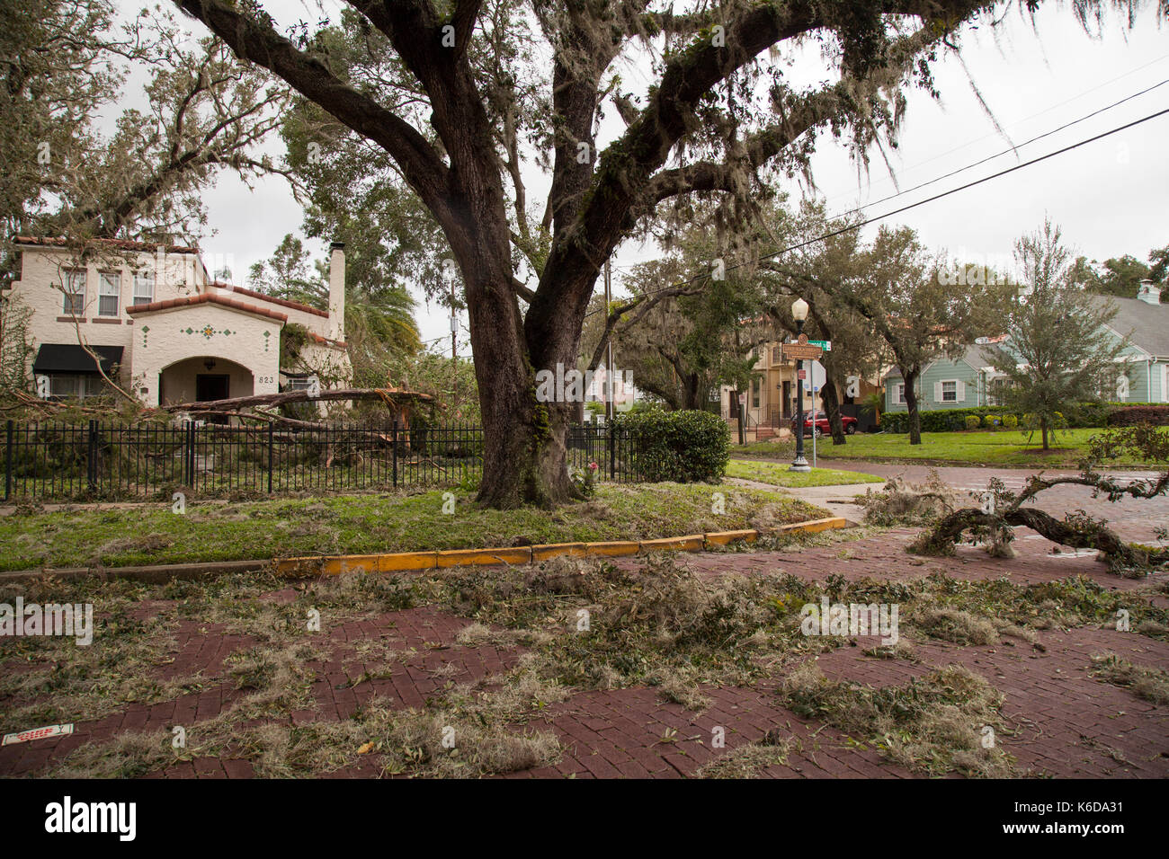 Orlando, USA. 11th Sep, 2017. Hurricane Irma damage in historic ...