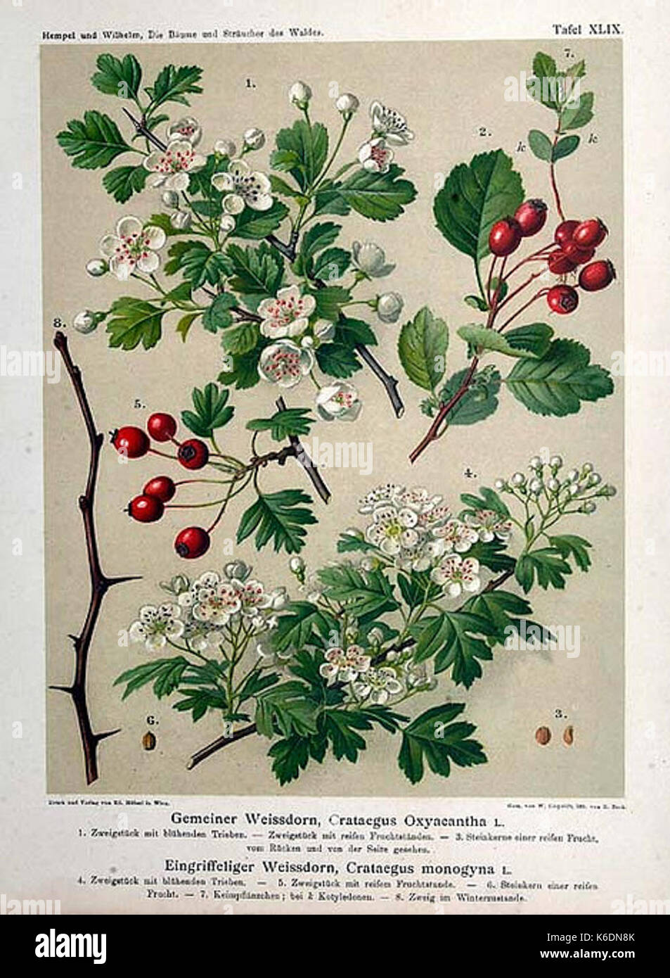 Cis map hi-res stock photography and images - Alamy