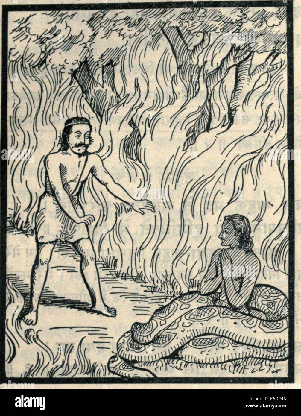 Snake lore hi-res stock photography and images - Alamy