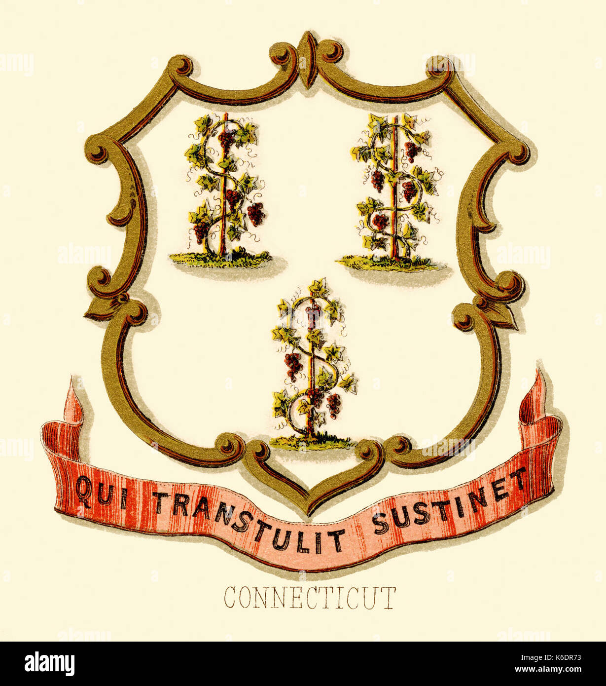 Connecticut state coat of arms (illustrated, 1876 Stock Photo - Alamy