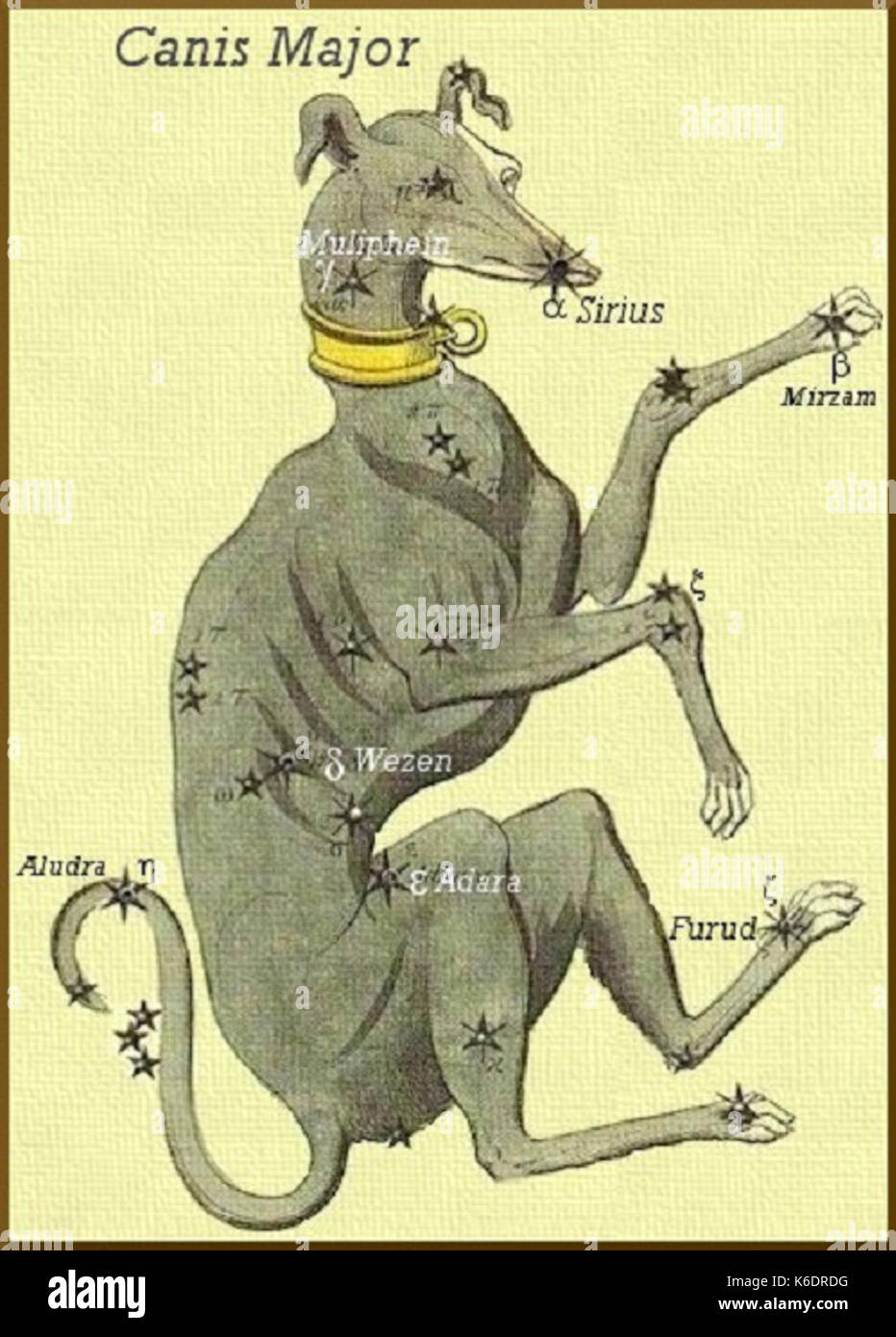 Canis major star hi-res stock photography and images - Alamy
