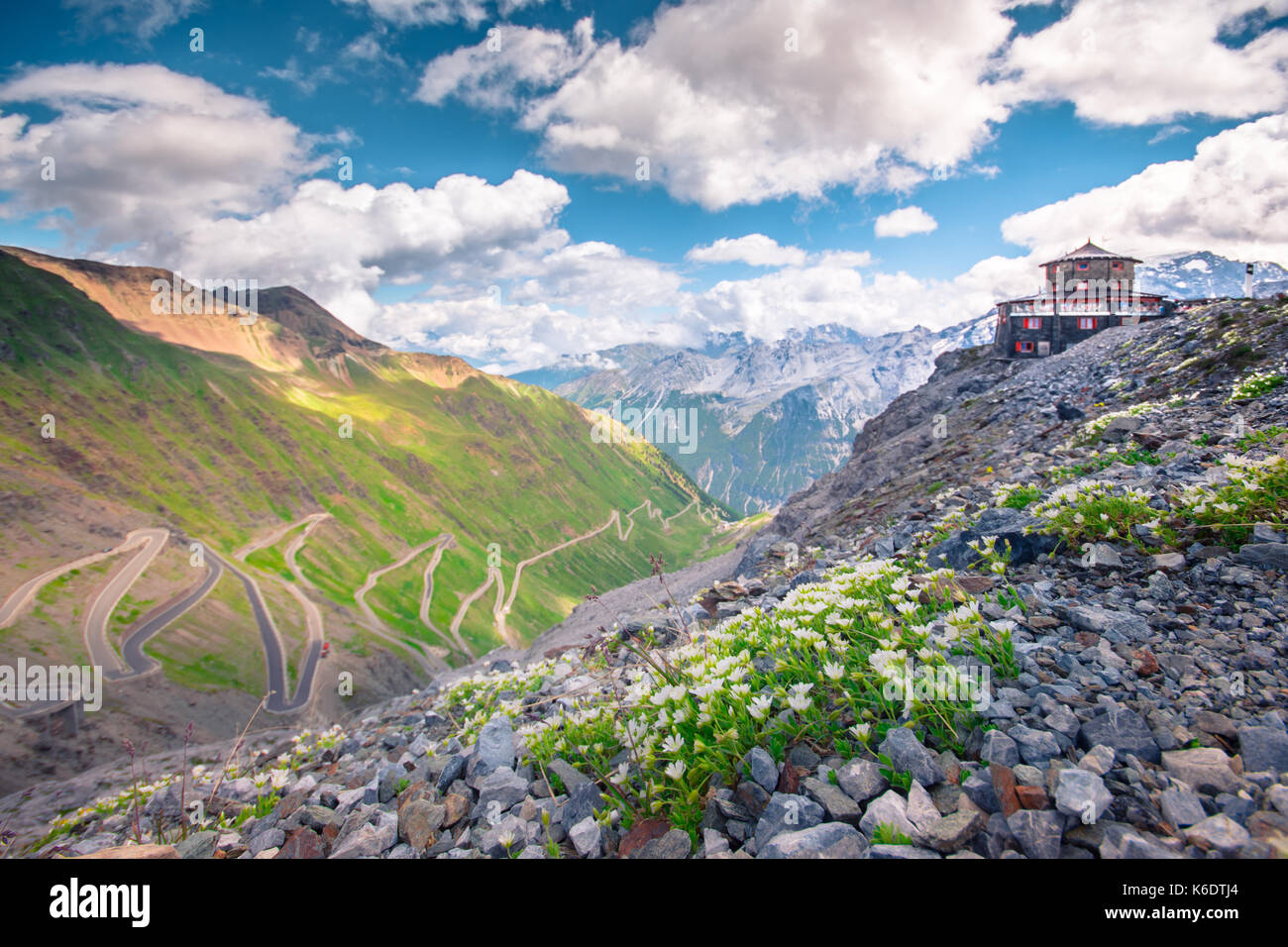 Italy, Stelvio National Park. Famous road to Stelvio Pass in Ortler ...