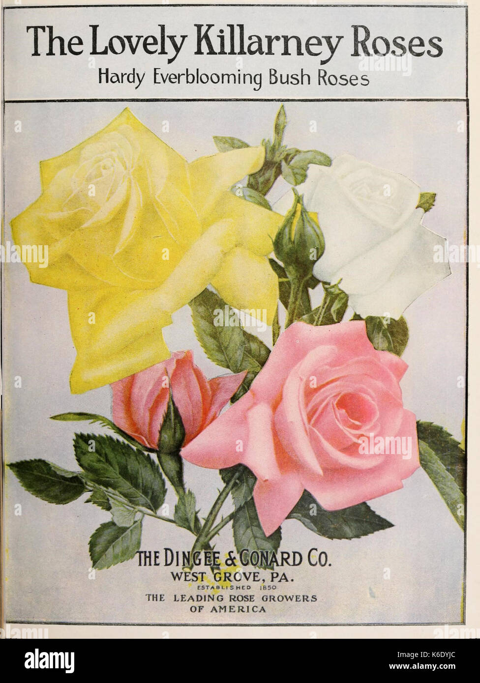 Trade catalogs dingee conard co hi-res stock photography and images - Alamy
