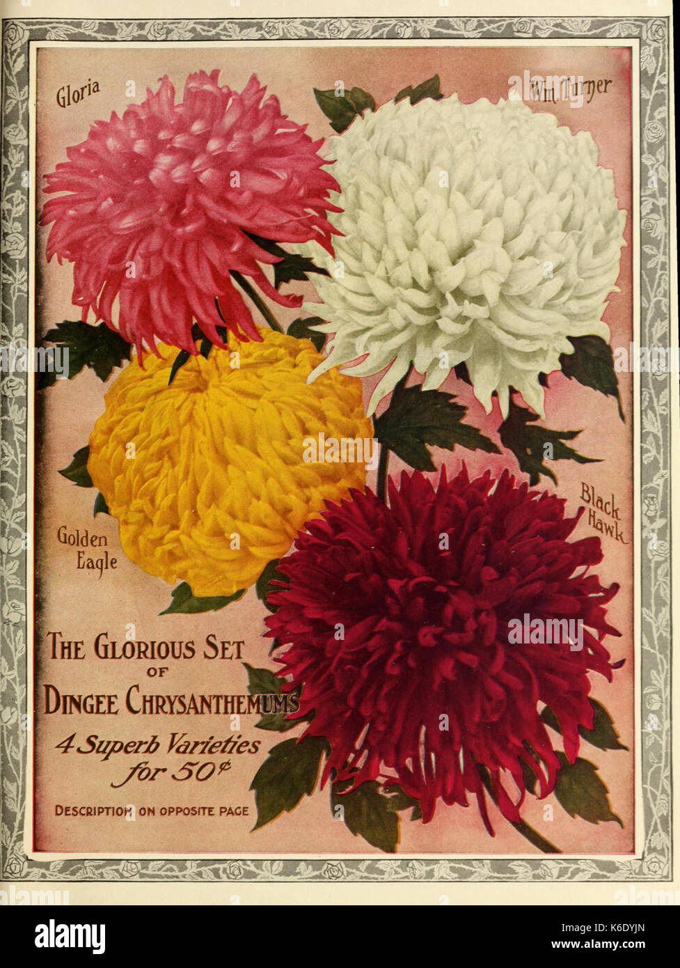 Trade catalogs dingee conard co hi-res stock photography and images - Alamy