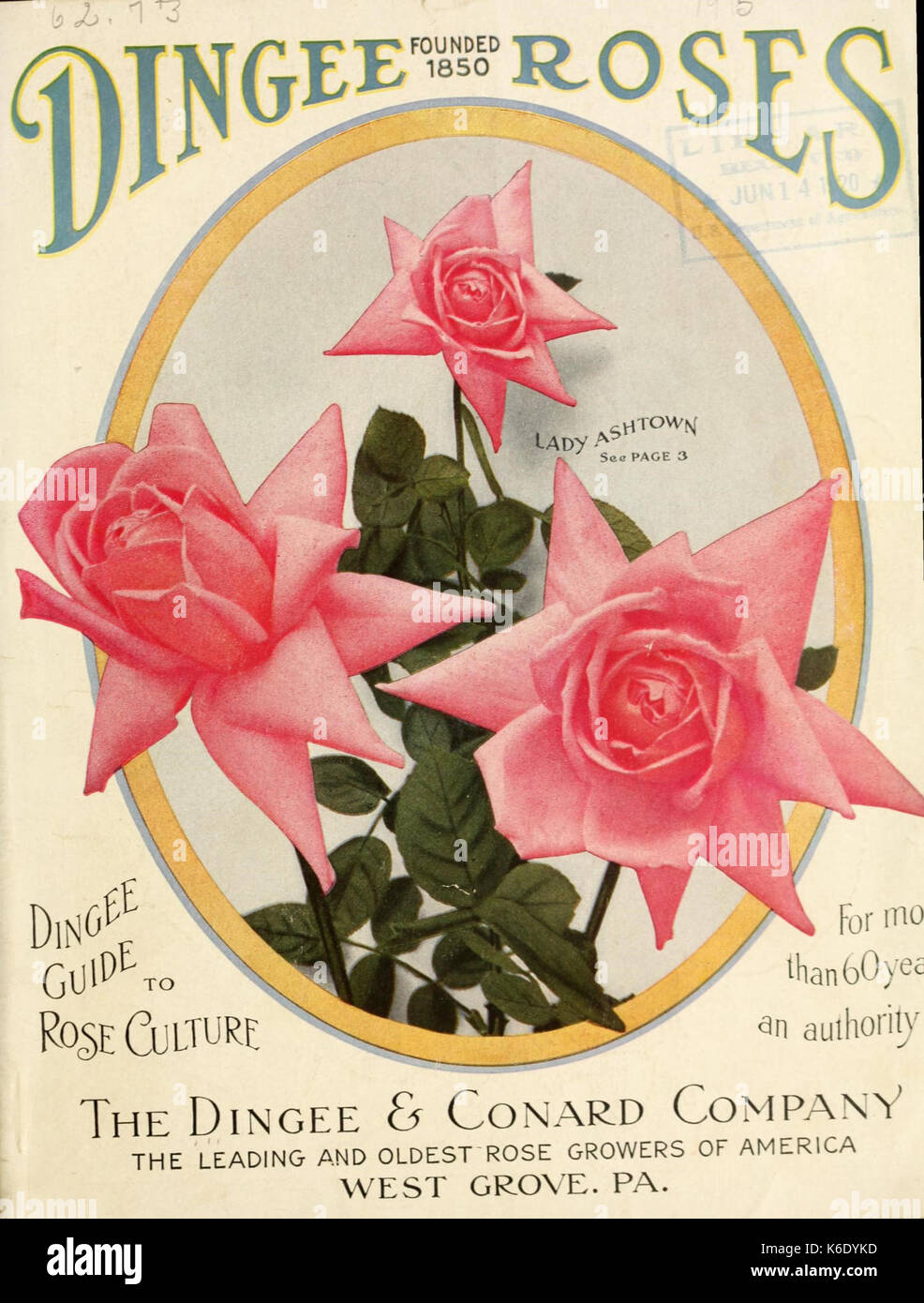 Dingee guide to rose culture (17077873795 Stock Photo - Alamy