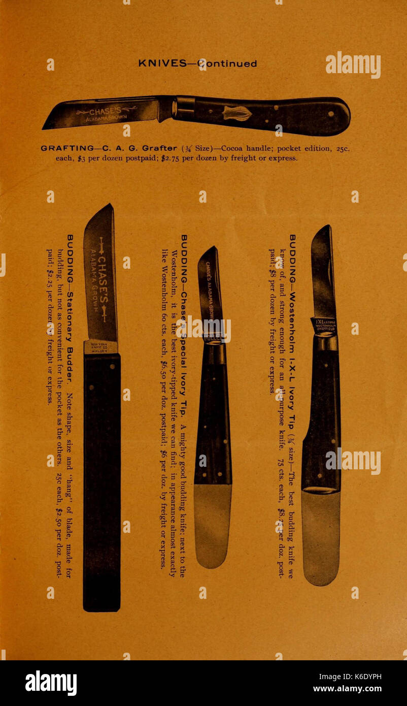 Library bulletin hi-res stock photography and images - Alamy