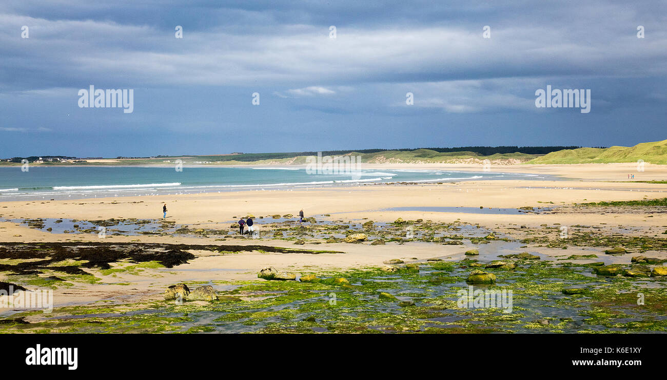Dunnet bay hi-res stock photography and images - Alamy