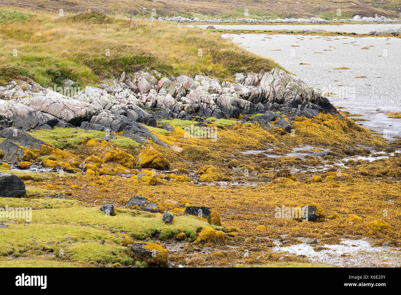 Scourie hi-res stock photography and images - Alamy