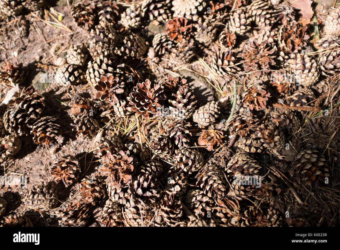 Mysterious cone hi-res stock photography and images - Alamy