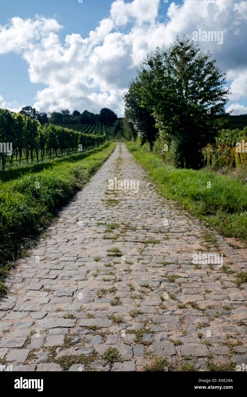 Cobbled path between stone hi-res stock photography and images - Alamy