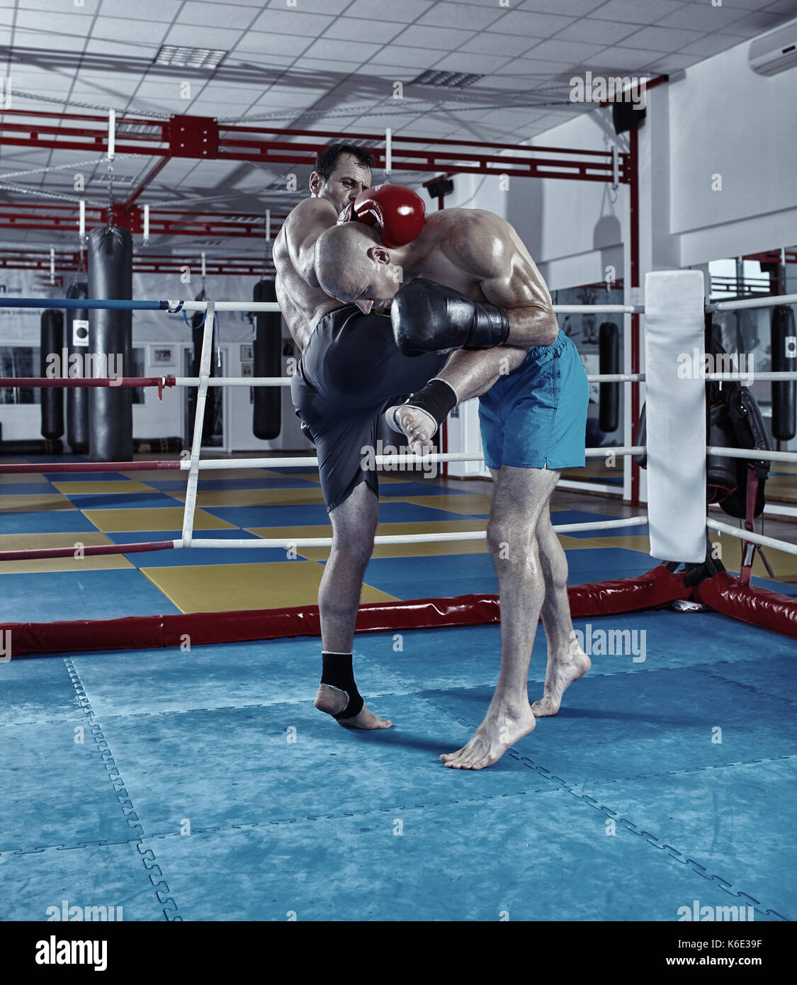 Two muay thai fighters in a sparring match in the ring Stock Photo - Alamy