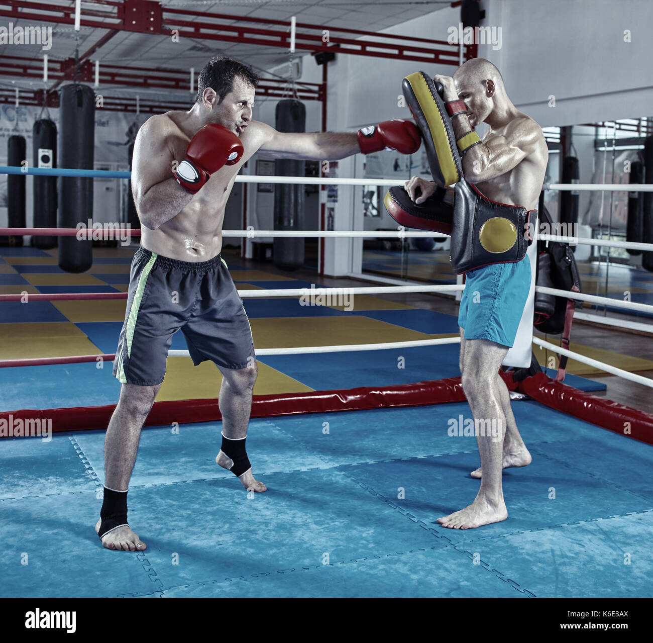 Two muay thai fighters in a sparring match in the ring Stock Photo - Alamy