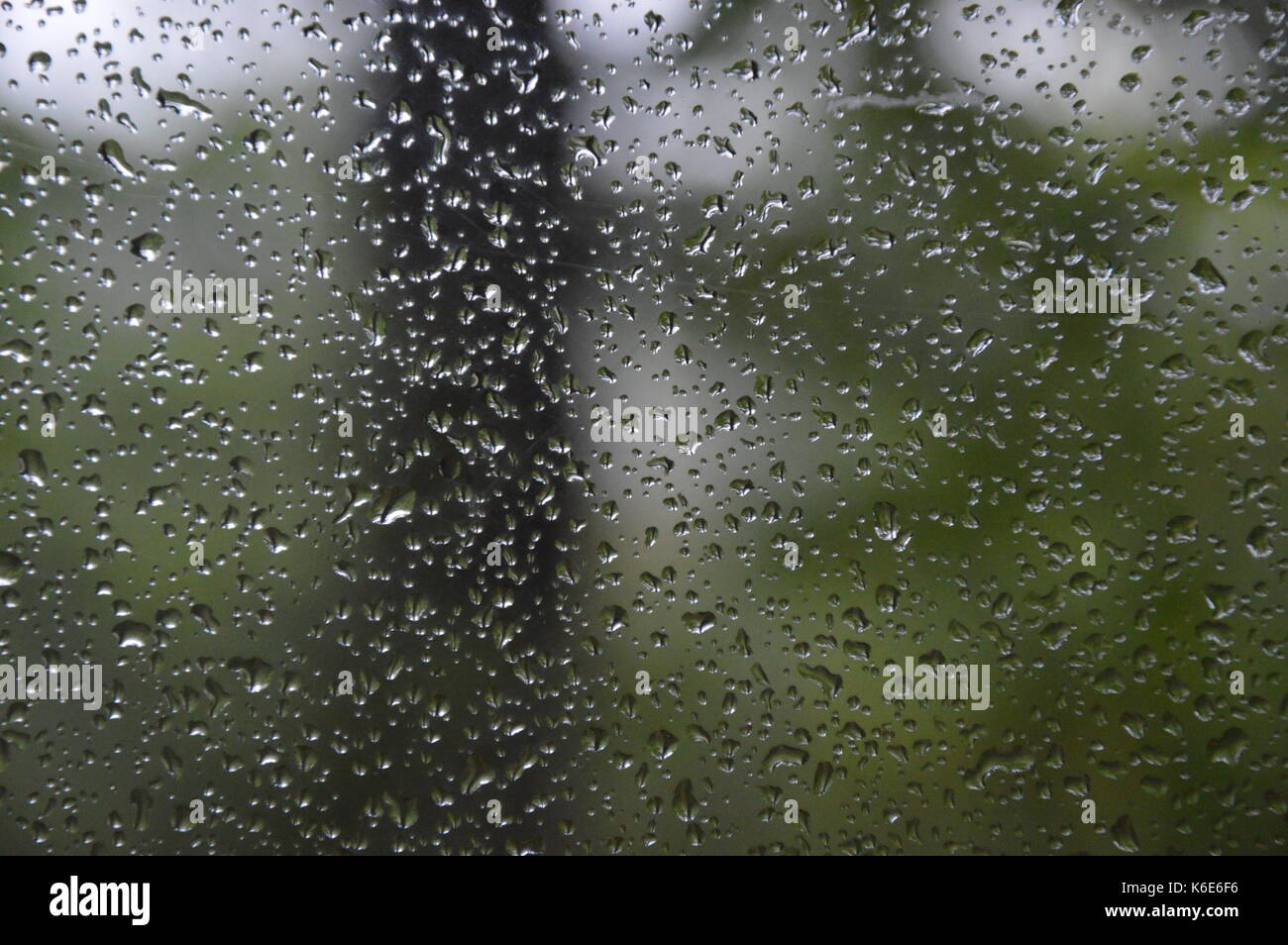Rain drops on the window Stock Photo - Alamy