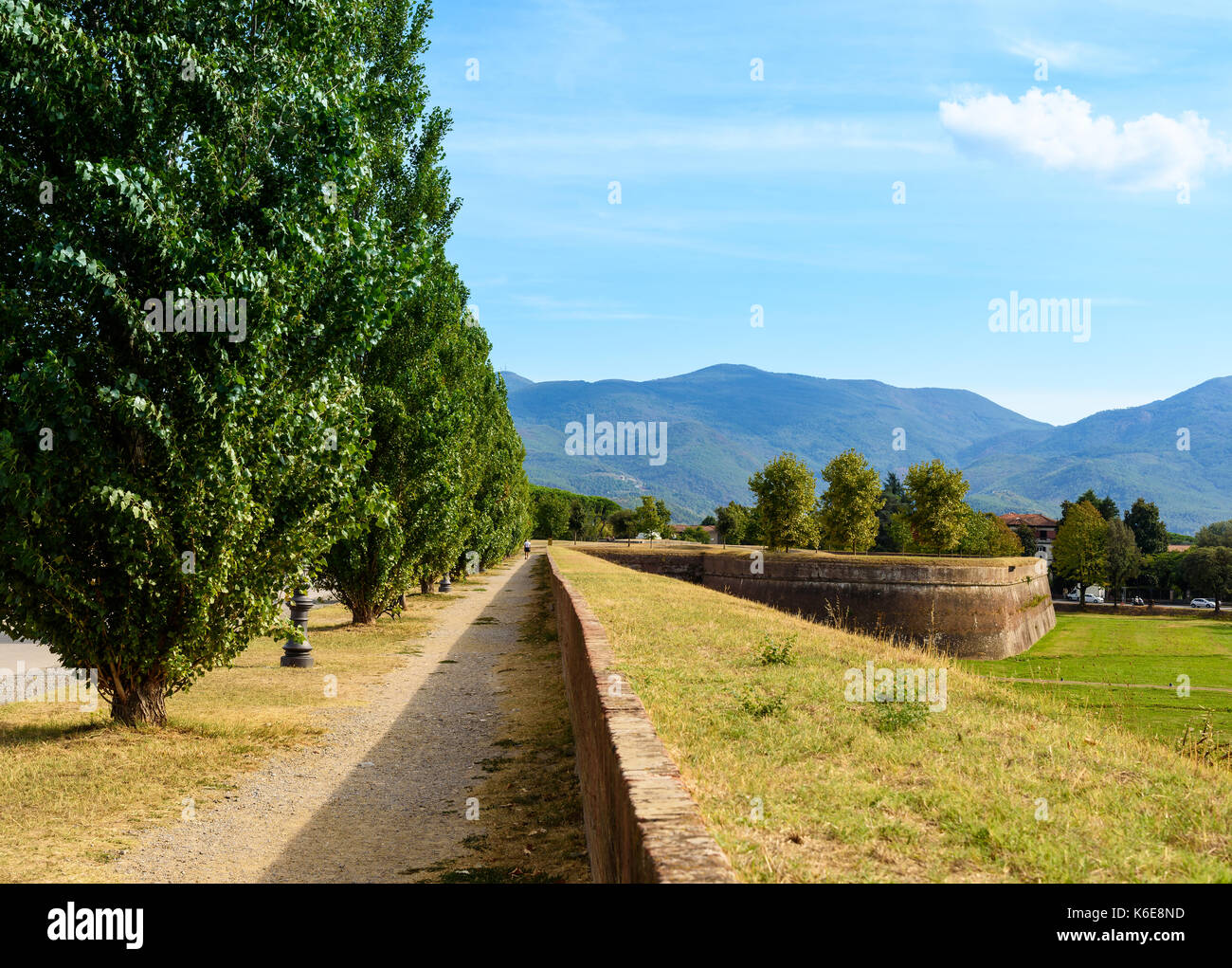 italian renaissance fortification, city walls in Lucca, tuscany, italy ...