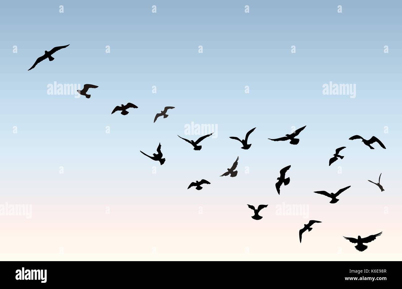 Bird flying silhouette over blue sky background. Animal wildlife ...