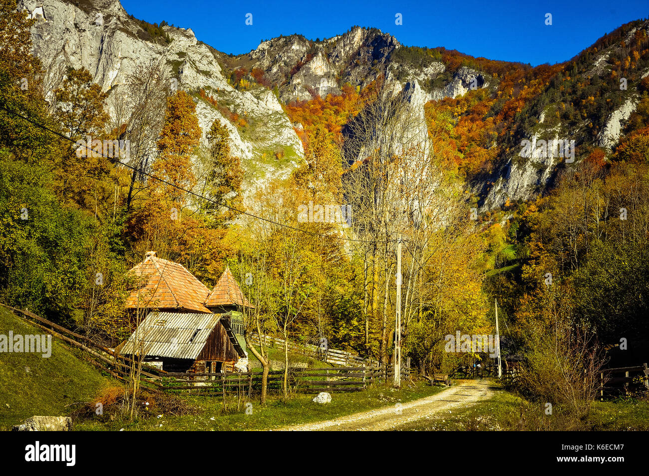 Countryside mountain scene at autumn. Fall colorful forest Stock Photo ...