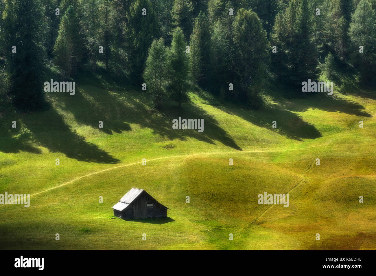 mountain hut on the green meadow with pine forest in the background and ...