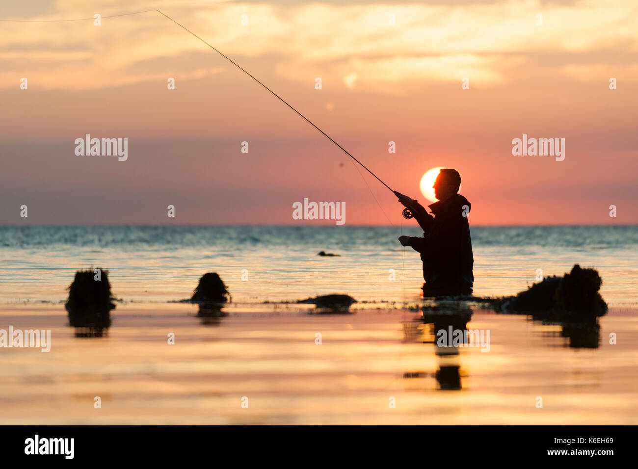 Male fly fishing hi-res stock photography and images - Alamy