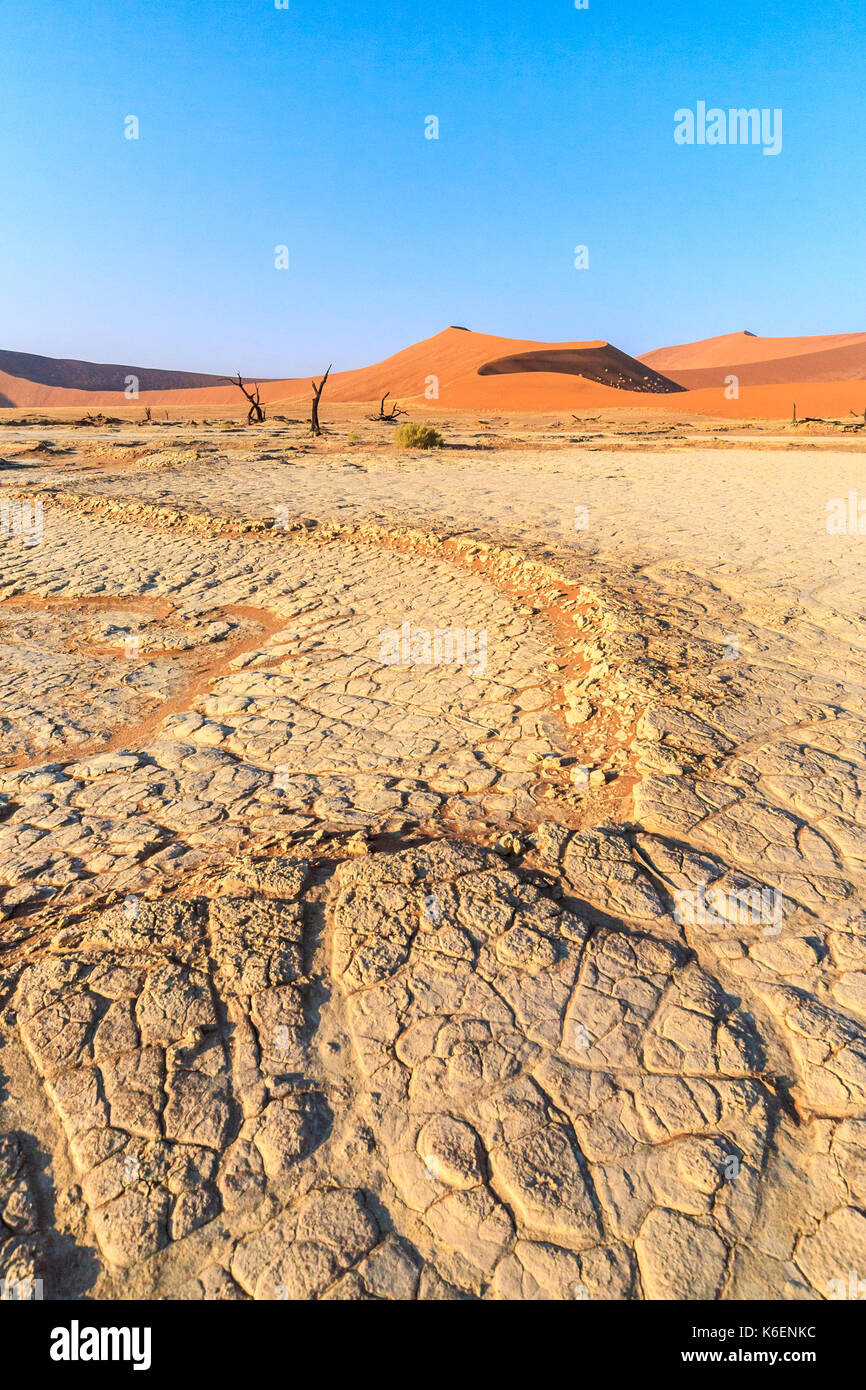 Parched ground hi-res stock photography and images - Alamy
