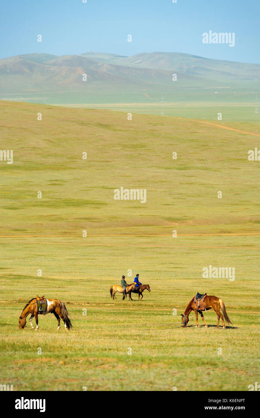 Mongolian cowboys mind grazing horses on the vast open steppe in rural ...
