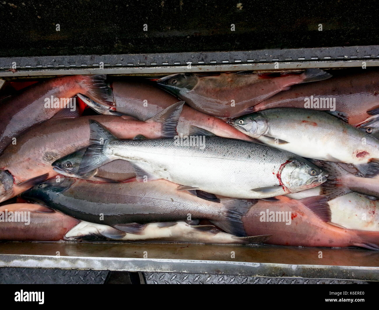 Fish box hi-res stock photography and images - Alamy