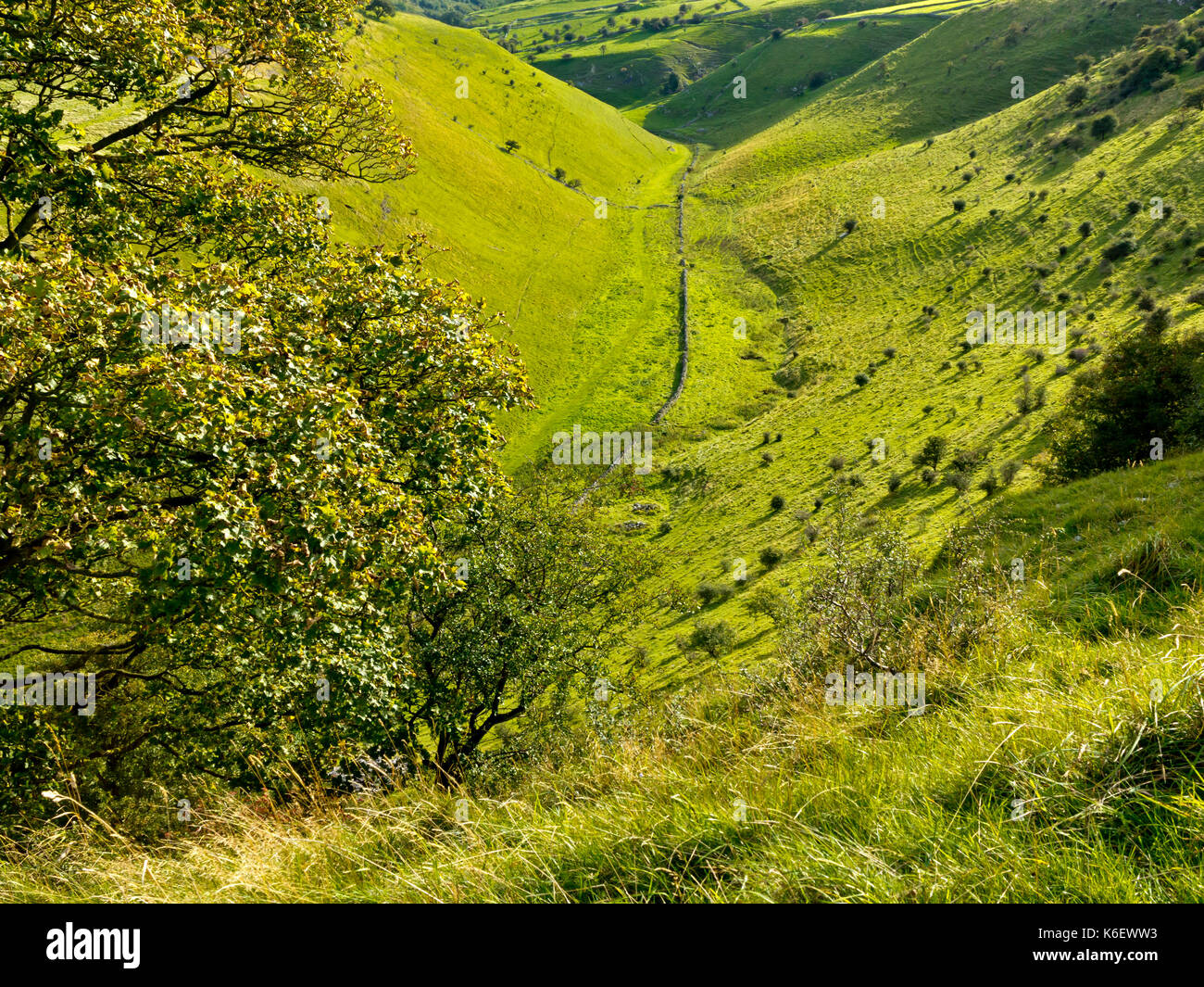 View cressbrook dale in derbyshire hi-res stock photography and images ...