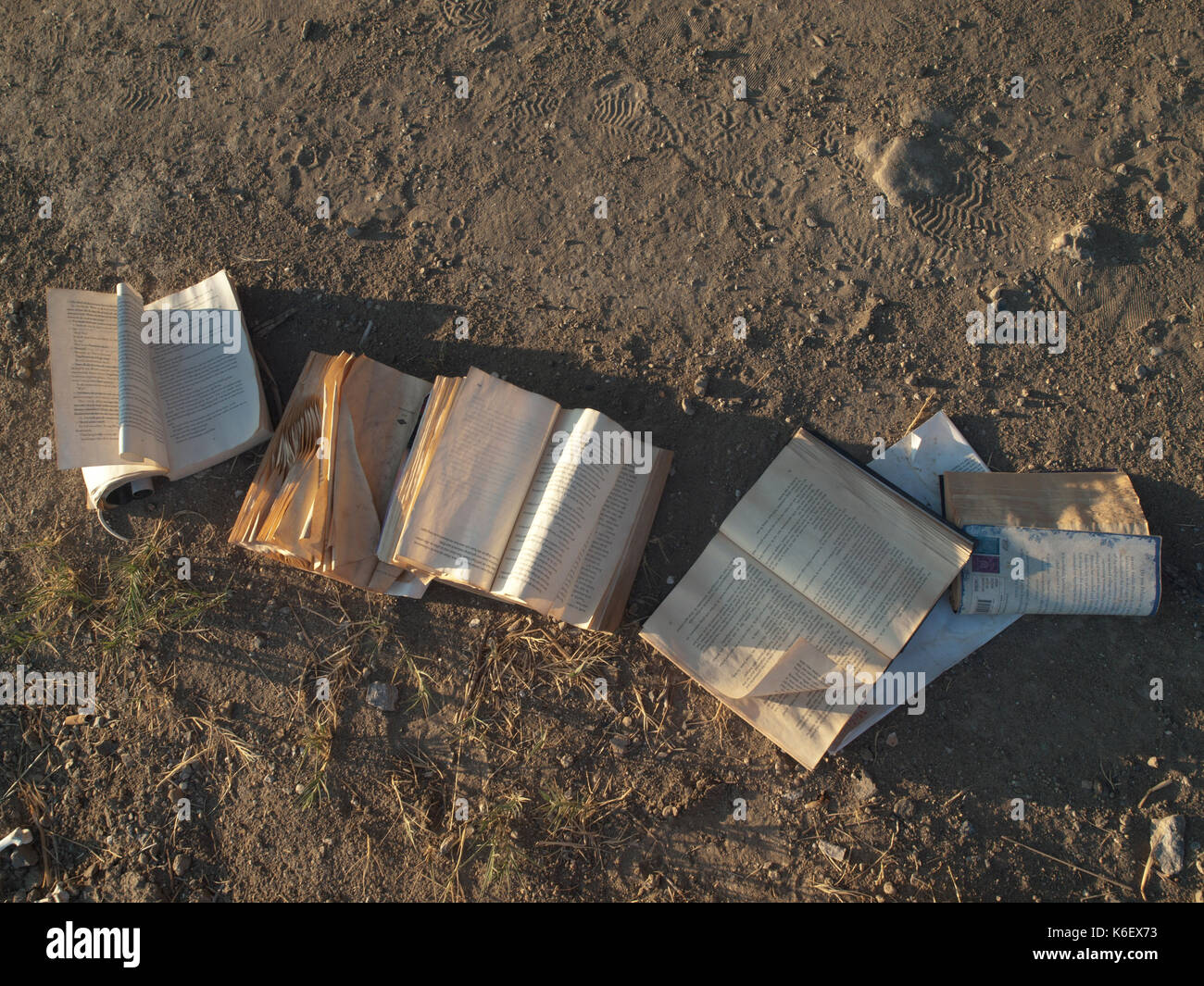 Ground books hi-res stock photography and images - Alamy