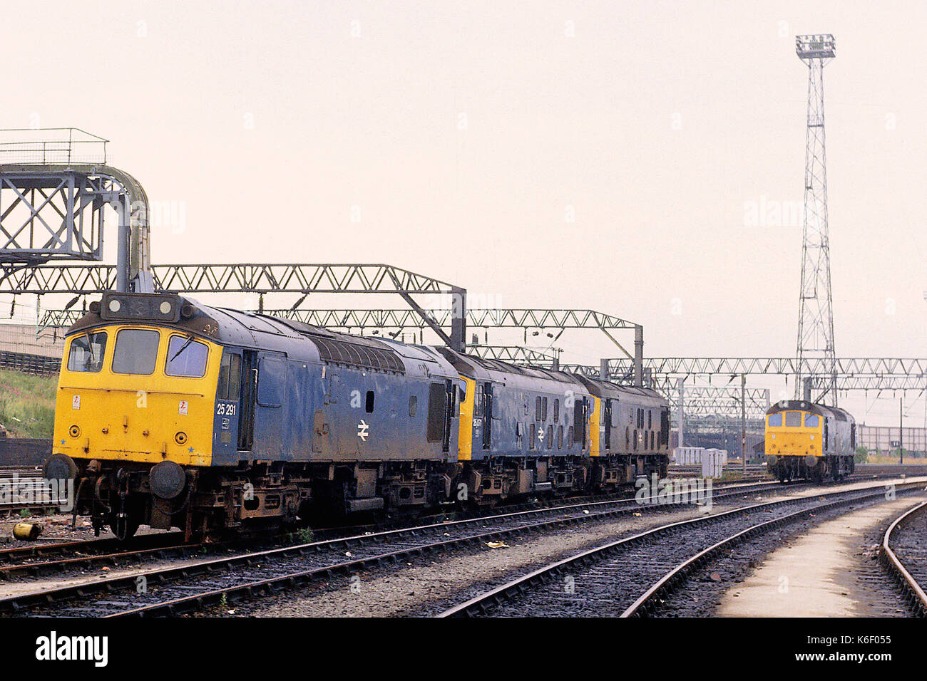 Four Class 25 locomotives stabled at Crewe in 1981 Stock Photo - Alamy
