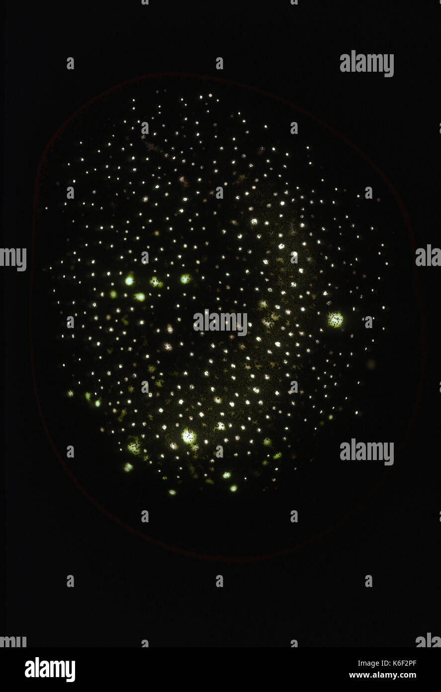 Abstract patterns created by burning celluloid film Stock Photo - Alamy