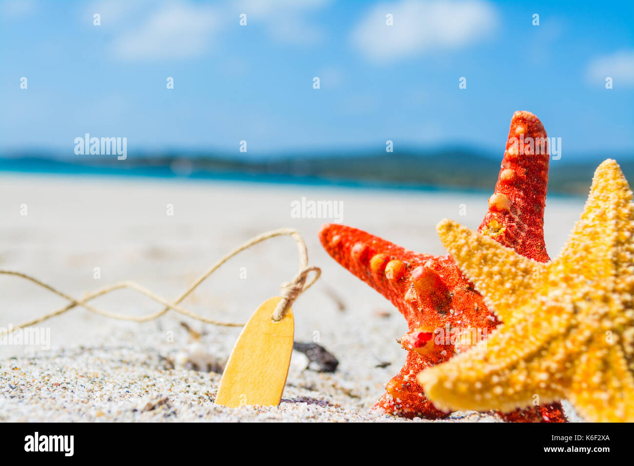 Colorful sea stars on the sand Stock Photo - Alamy