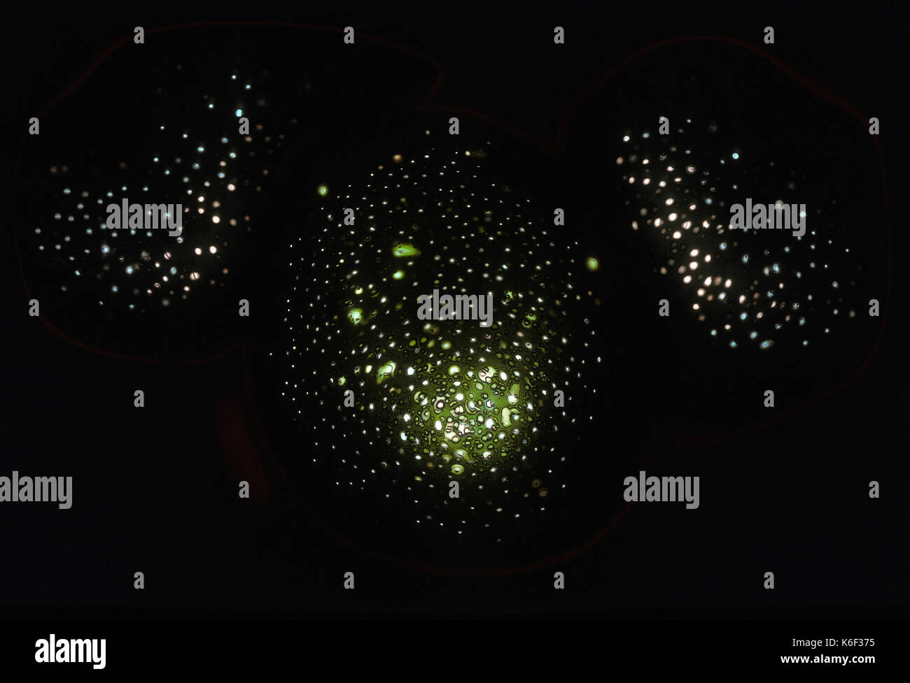 Abstract patterns created by burning celluloid film Stock Photo - Alamy