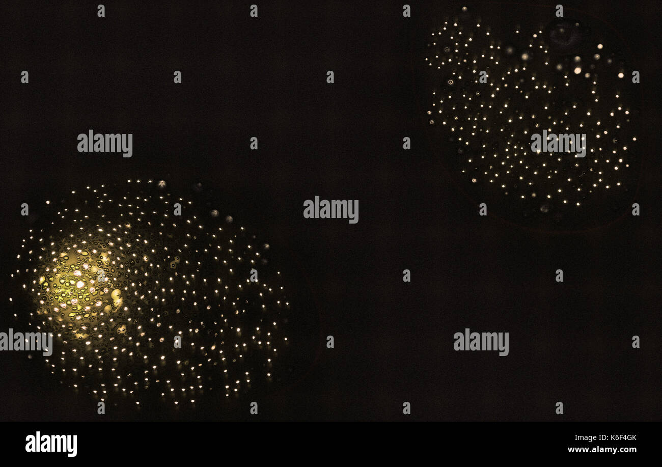 Abstract patterns created by burning celluloid film Stock Photo - Alamy