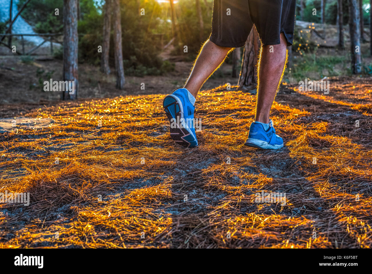 running in the park at sunset Stock Photo - Alamy