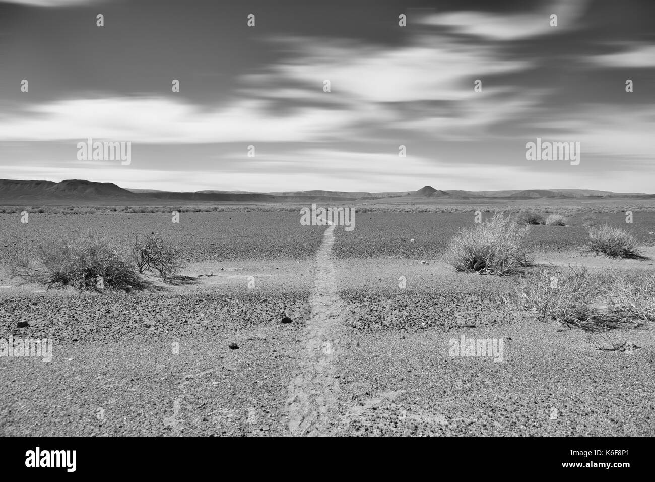 An Antelope track leads through the open savanna in Southern Africa ...