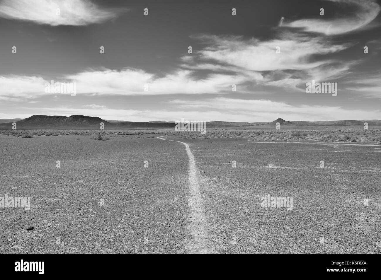 An Antelope track leads through the open savanna in Southern Africa ...