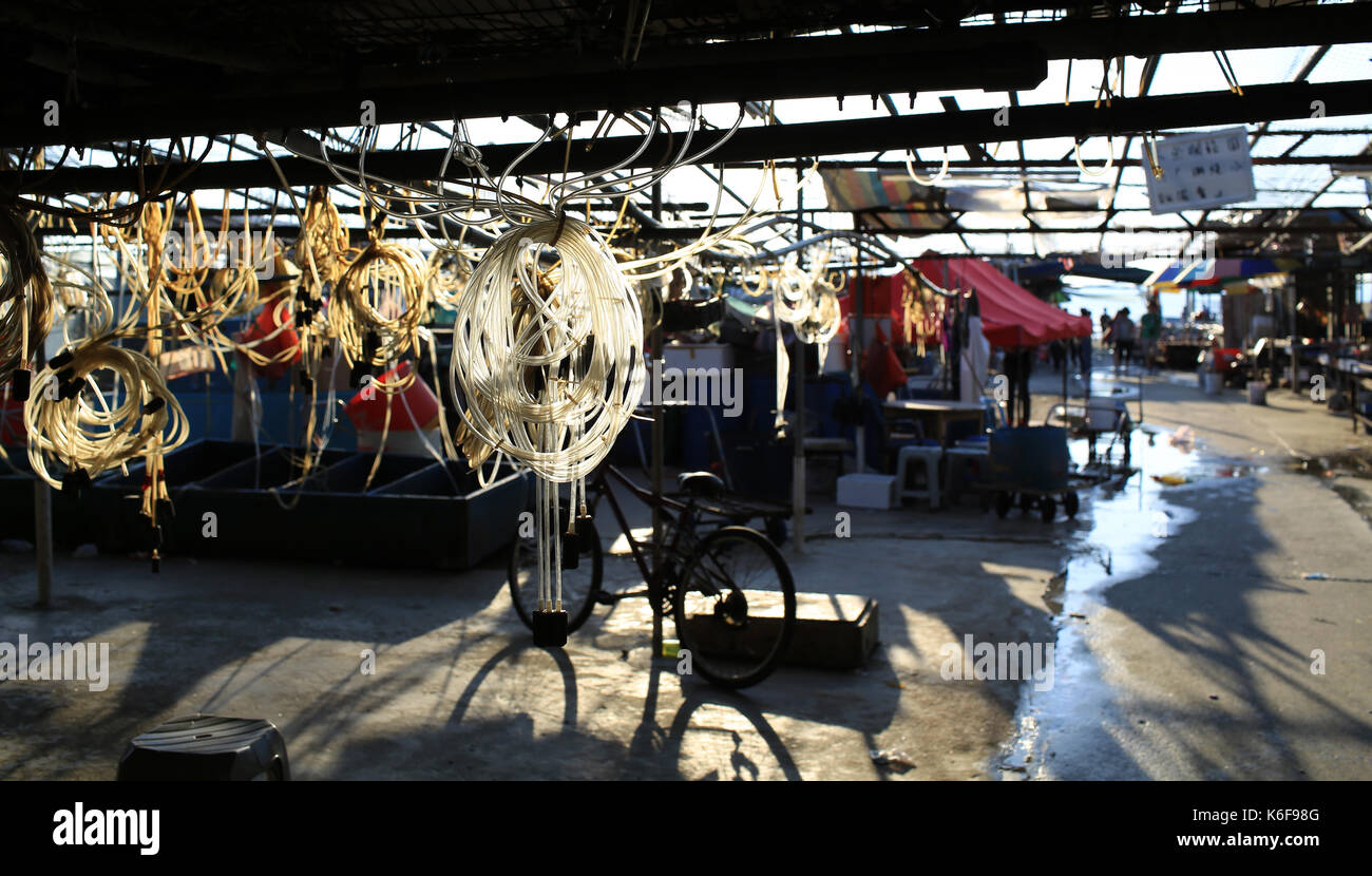 Chinese fish market hi-res stock photography and images - Alamy