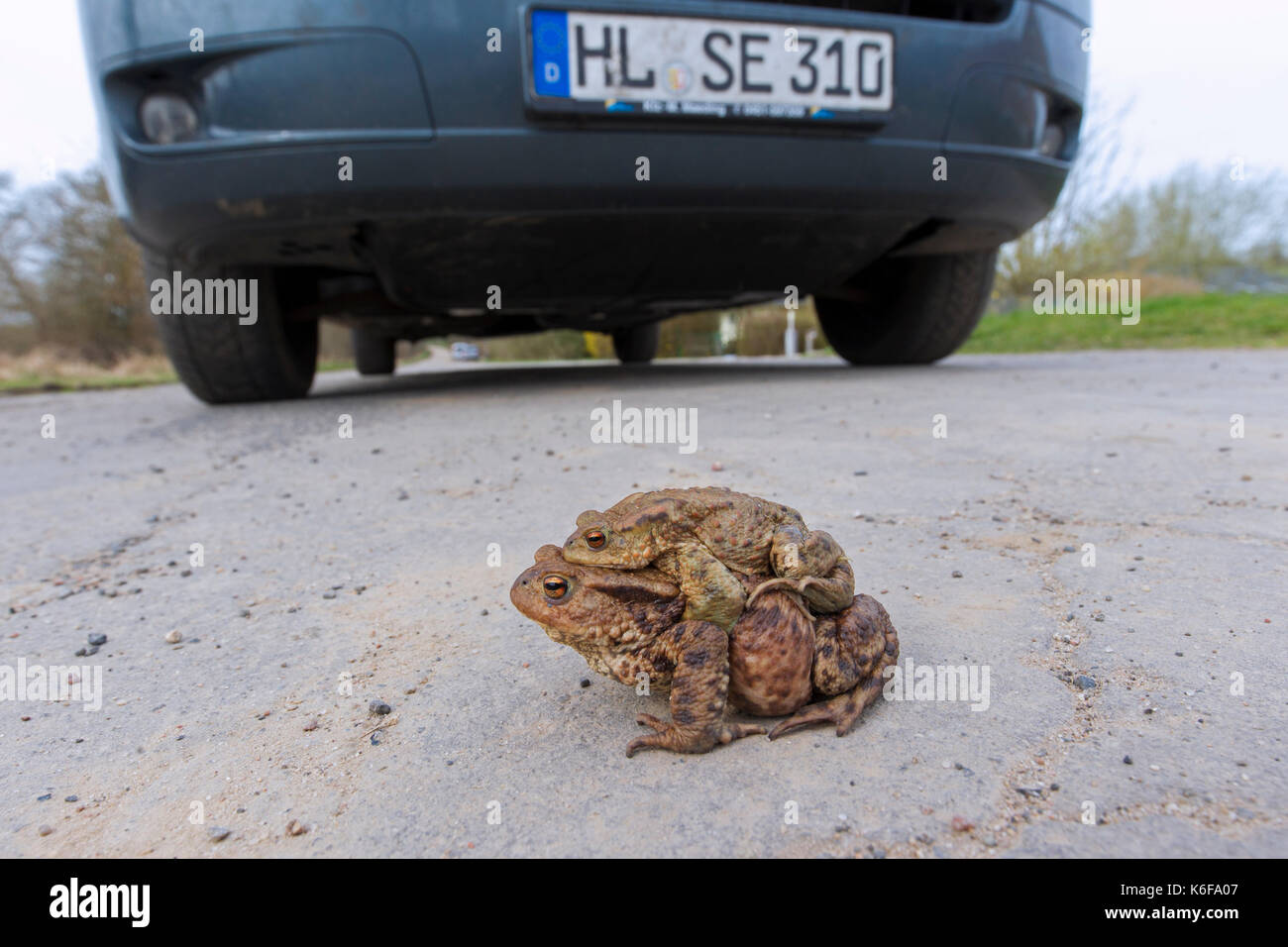 Amphibian vehicles hi-res stock photography and images - Alamy