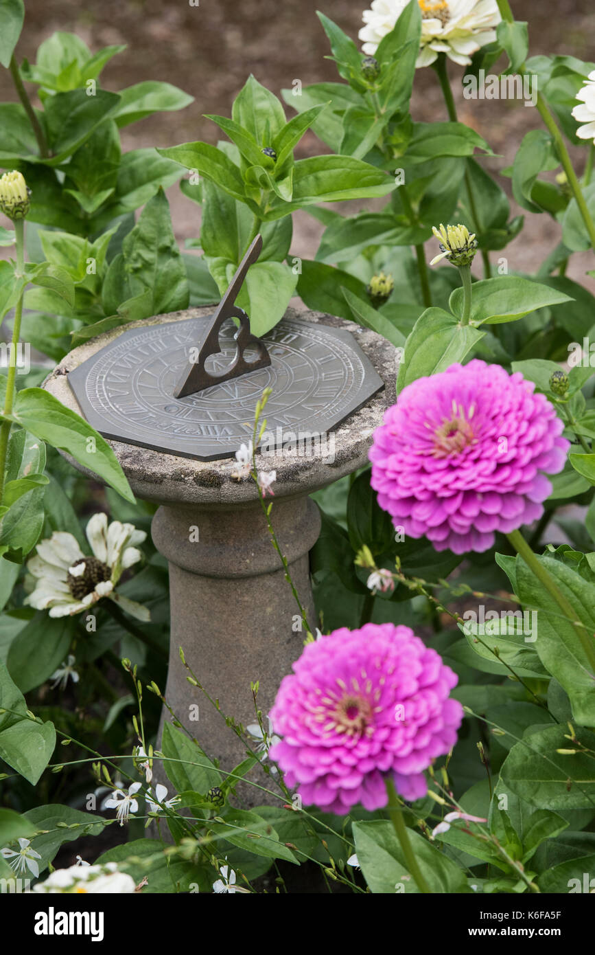 Sundial in a flowerbed in an english garden. UK Stock Photo - Alamy