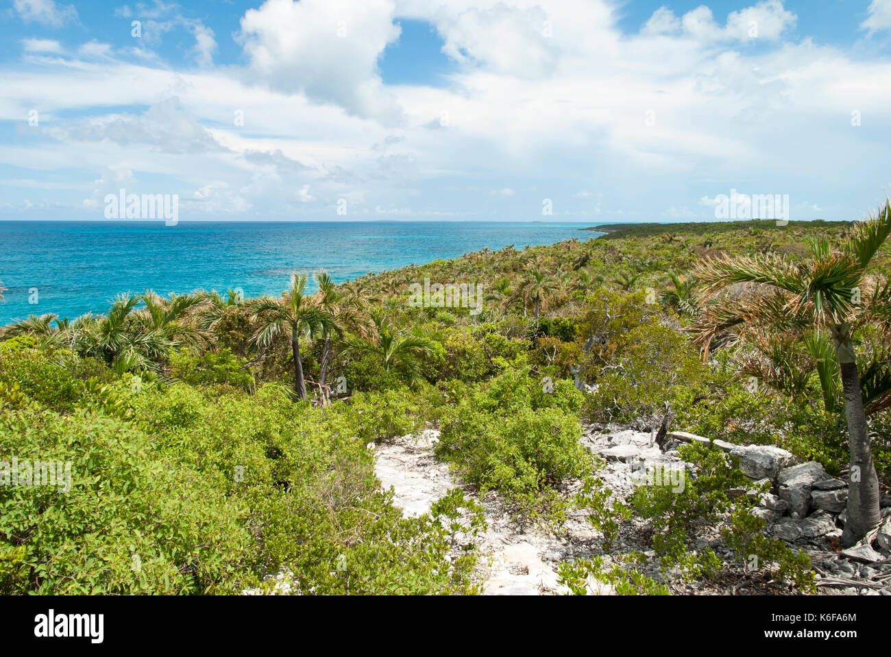 The view from the highest point of uninhabited island Half Moon Cay ...