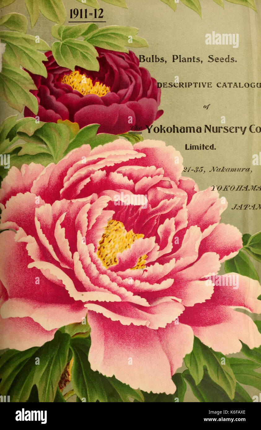 Descriptive catalogue of flowering, ornamental trees, shrubs, bulbs ...
